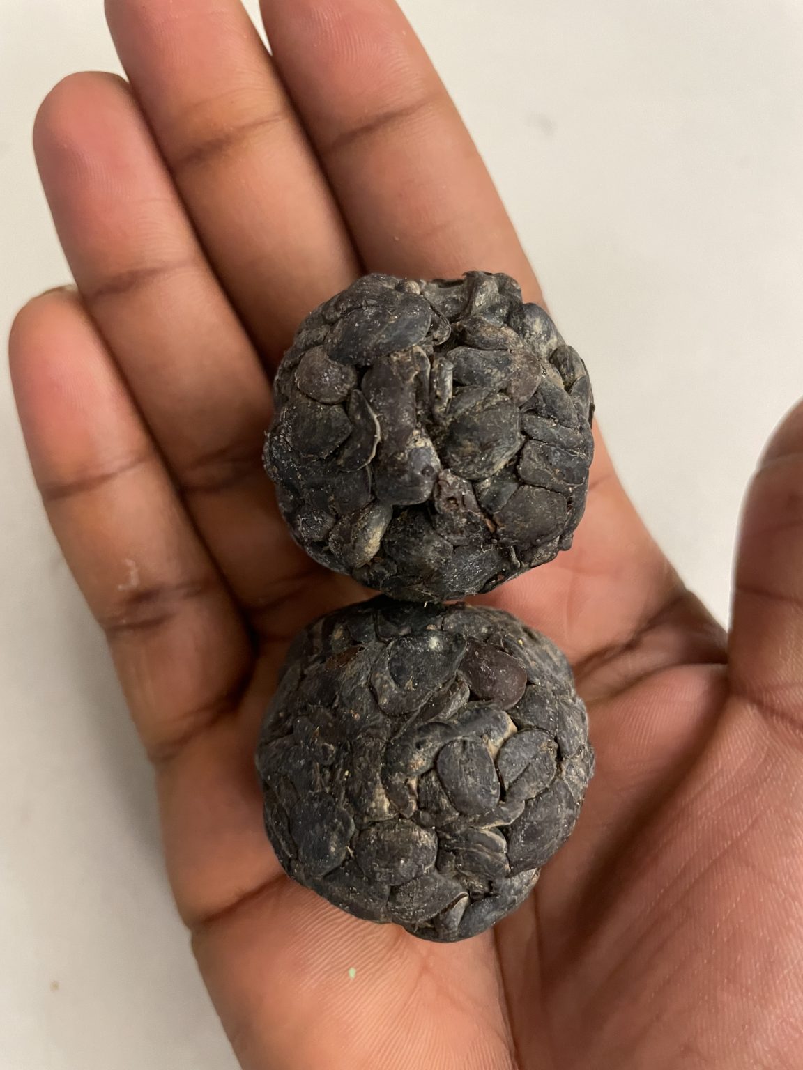 What are Fermented Locust Beans (Iru/Dawadawa) - Eat with Afia
